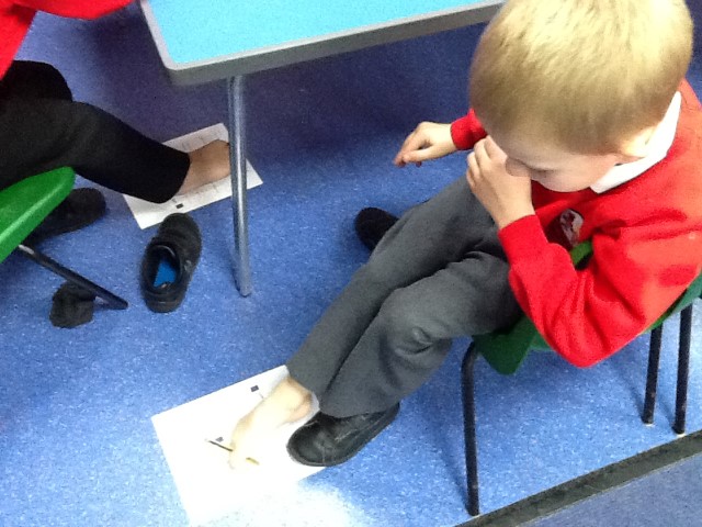 Year 1 Science: Senses – Gomer Infant School