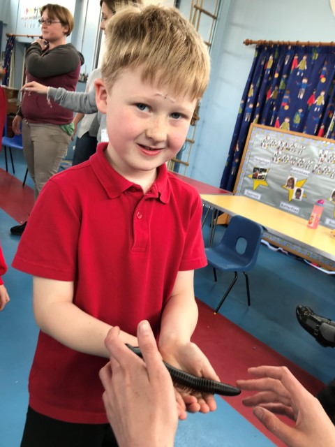 Creature teachers – Gomer Infant School