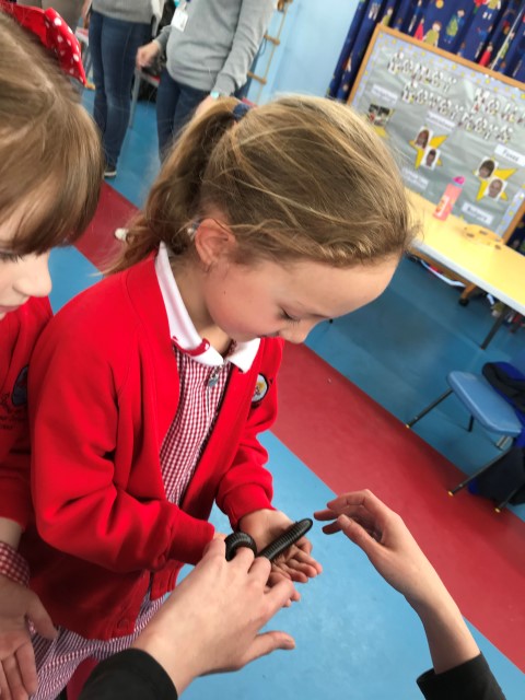 Creature teachers – Gomer Infant School