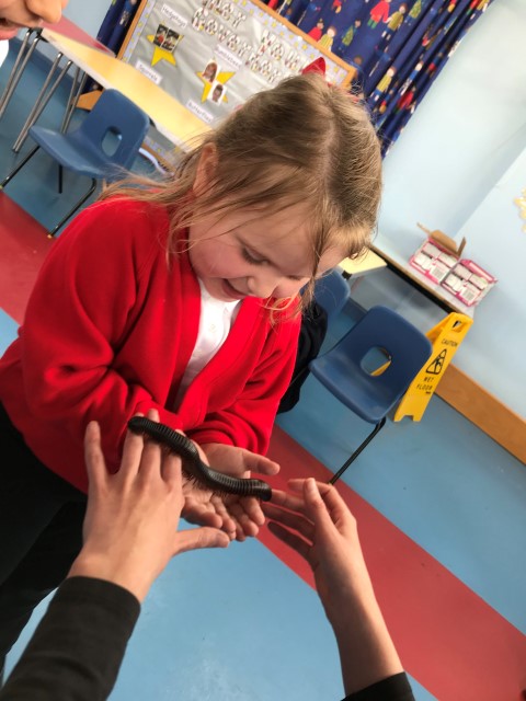 Creature teachers – Gomer Infant School