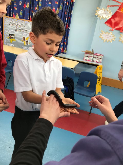 Creature teachers – Gomer Infant School