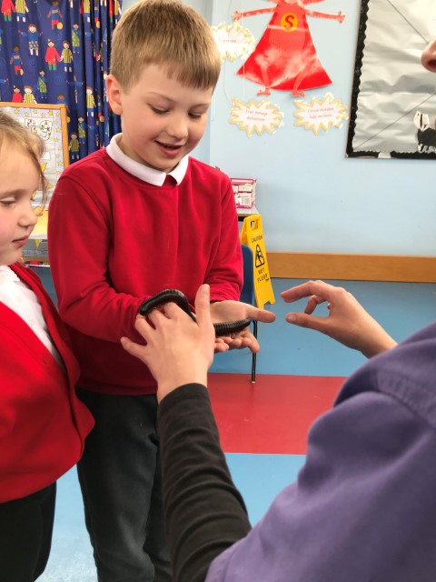 Creature teachers – Gomer Infant School