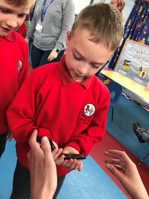Creature teachers – Gomer Infant School